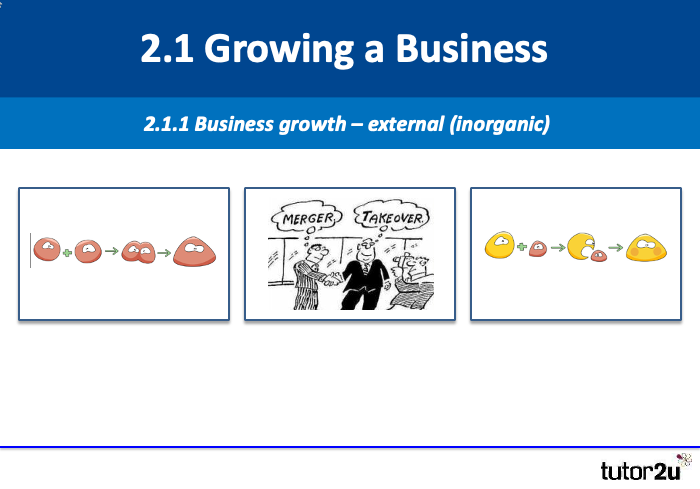 2.1.1 Business Growth - External (inorganic) Teacher Powerpoint for ...