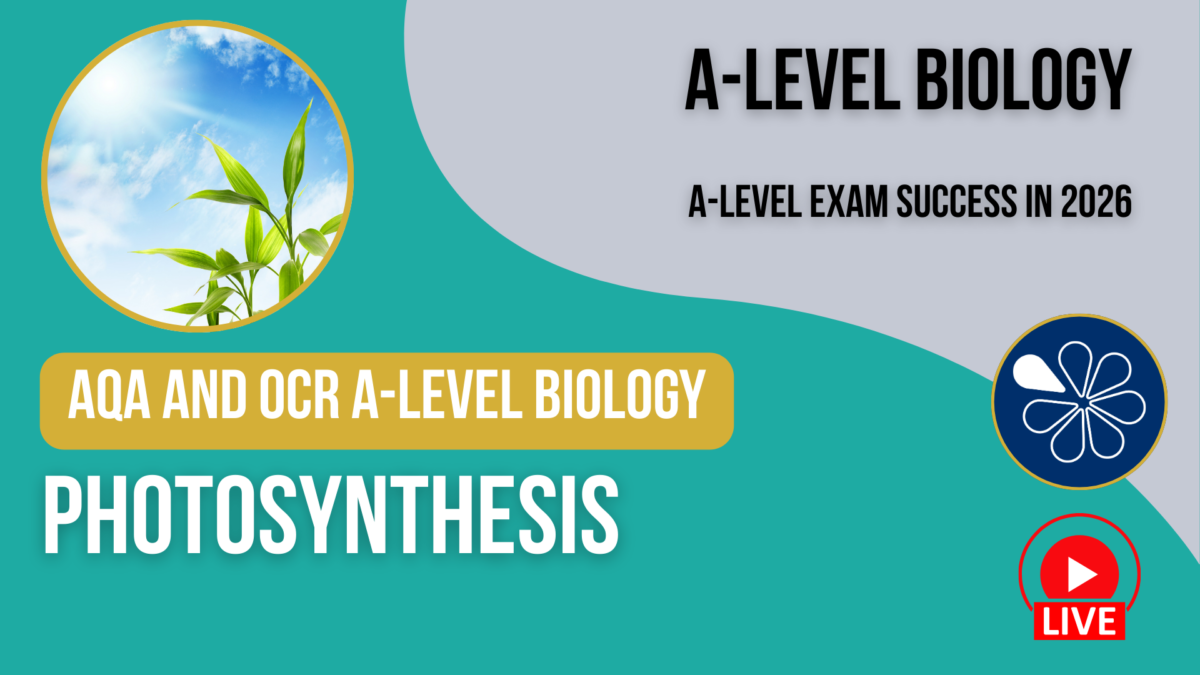 Photosynthesis | AQA and OCR A-Level Biology Live Stream 2025 ...