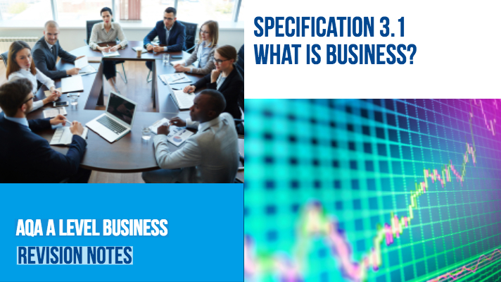 AQA A Level Business Study Resources for 3.1 - What is Business ...
