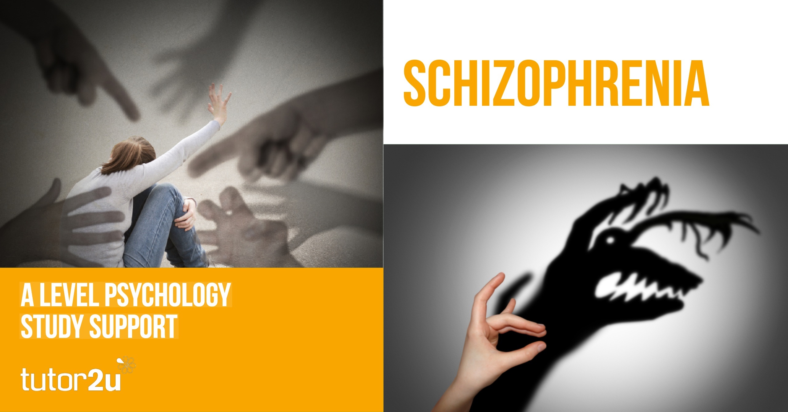 A Level Study Notes: Schizophrenia | Collections | Psychology | tutor2u