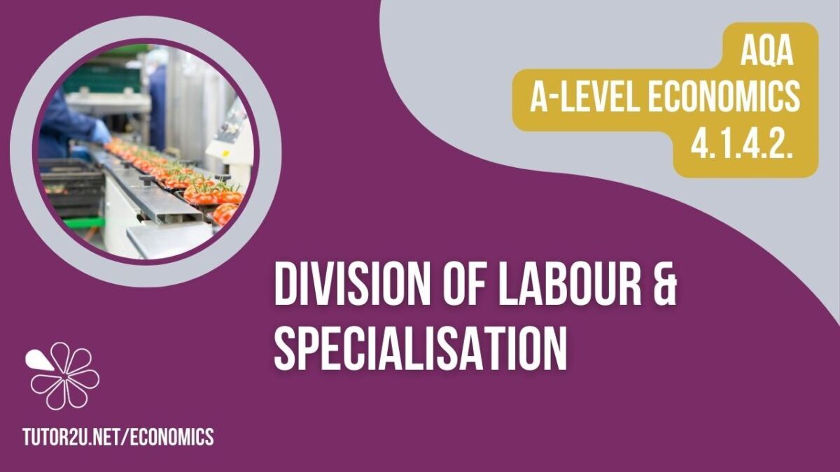 4.1.4.2 Division of Labour and Specialisation (AQA A-Level Economics ...