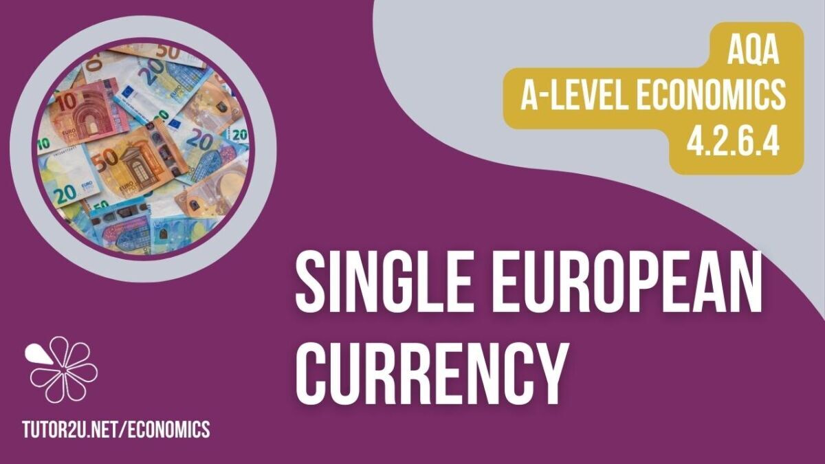 4.2.6.4 Single European Currency (AQA A Level Economics Teaching ...