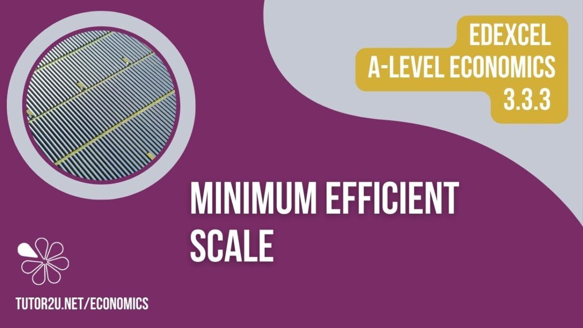 3.3.3 Minimum Efficient Scale (Edexcel A-Level Economics Teaching ...