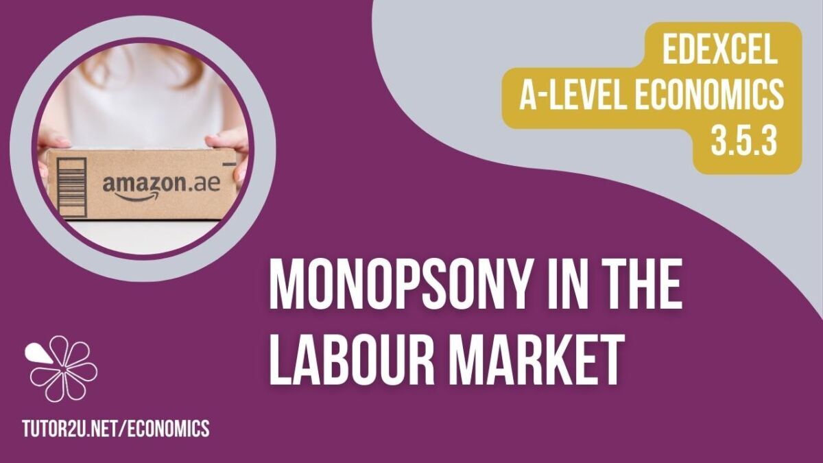 3.5.3 Monopsony in the Labour Market (Edexcel A-Level Economics ...