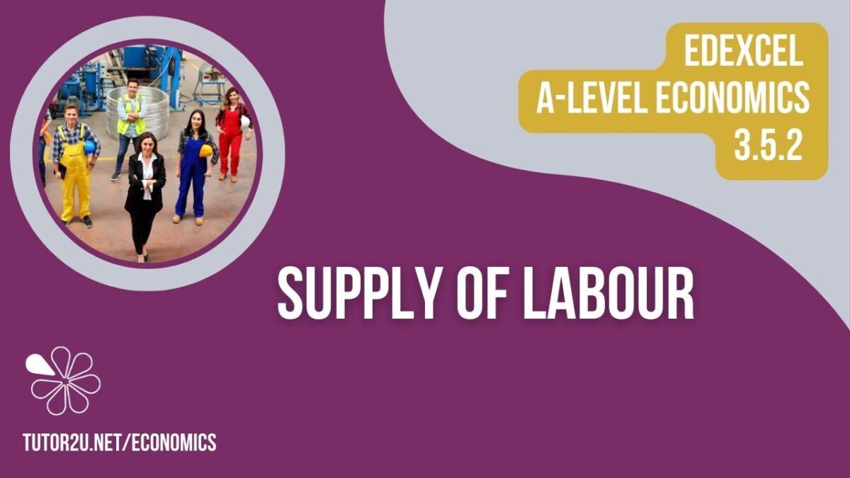 3.5.2 Labour Supply (Edexcel A-Level Economics Teaching PowerPoint ...