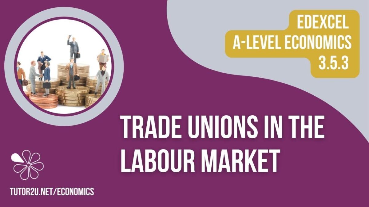 3.5.3 Trade Unions in the Labour Market (Edexcel A-Level Economics ...
