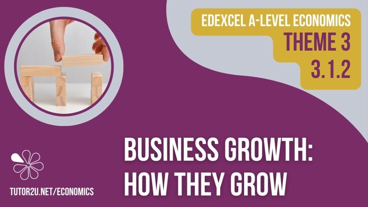3.1.2 Business Growth (Edexcel A-Level Economics Teaching PowerPoint ...