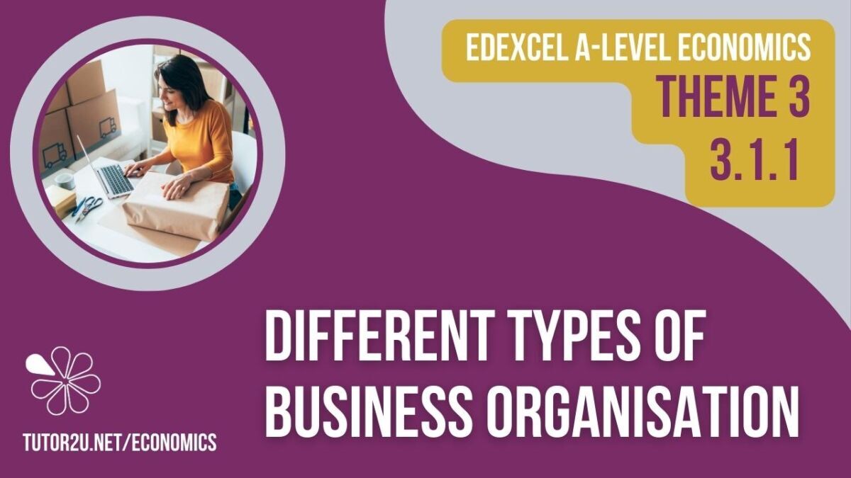 3.1.1 Sizes and Types of Firms (Edexcel A-Level Economics Teaching ...