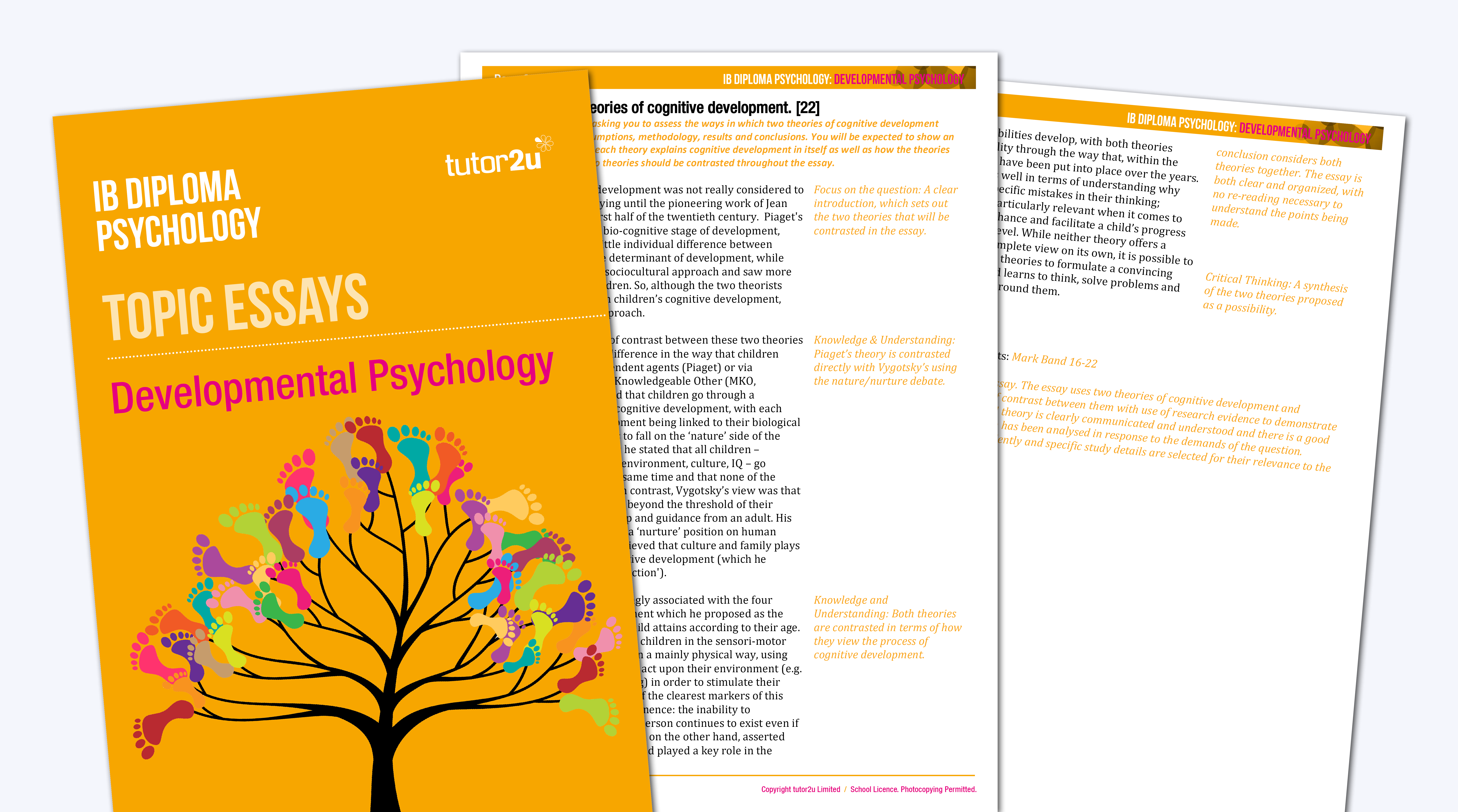 Developmental Psychology: IB Diploma Psychology Topic Essays | Shop ...