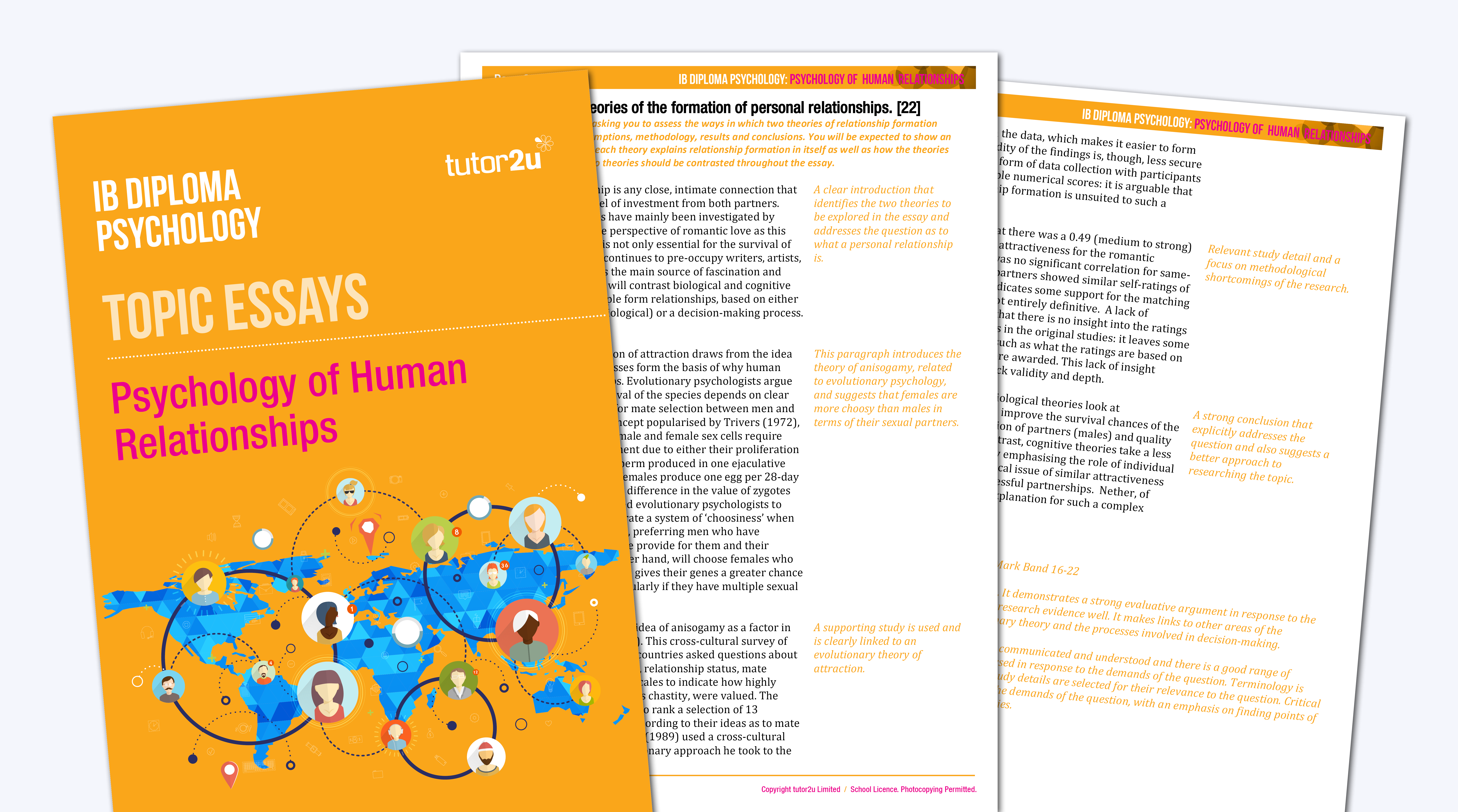 Psychology of Human Relationships: IB Diploma Psychology Topic Essays ...