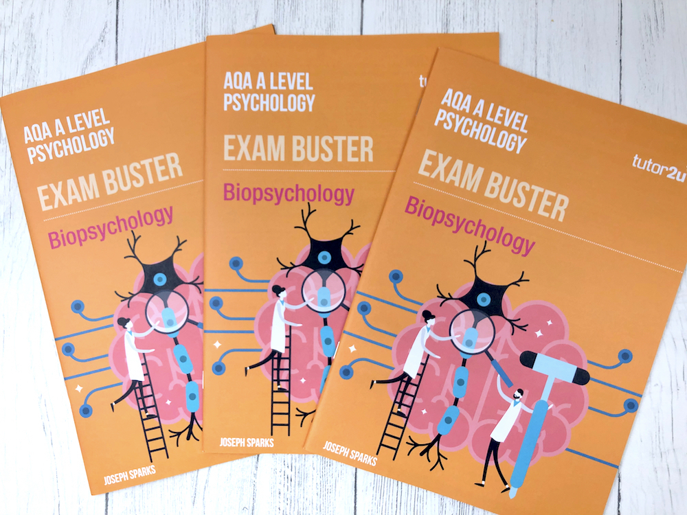 Biopsychology Exam Buster Revision Guide for AQA A-Level Psychology ...