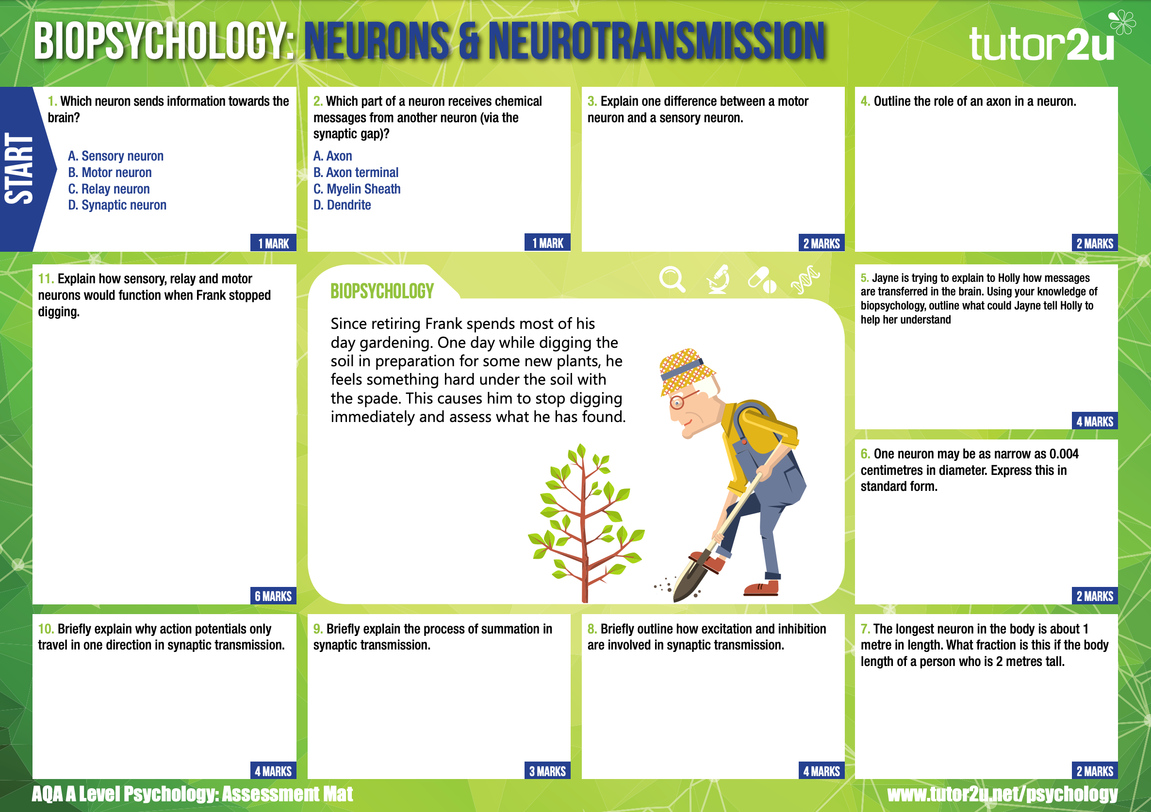Neurons & Neurotransmission: AQA A Level Psychology Assessment Mat ...