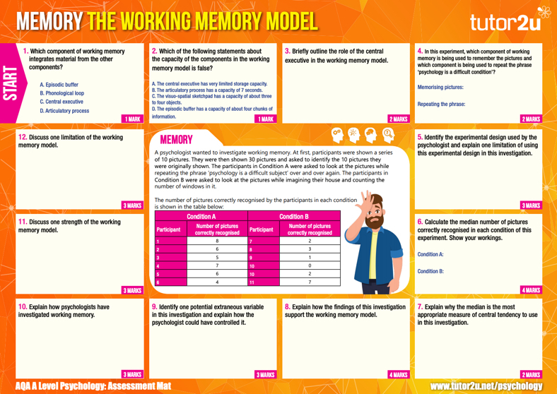 Working Memory Model: AQA A Level Psychology Assessment Mat (exams up ...