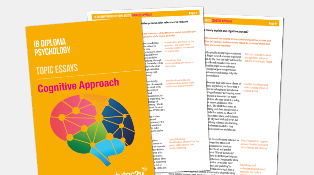 Cognitive Approach: IB Diploma Psychology Topic Essays | Shop ...