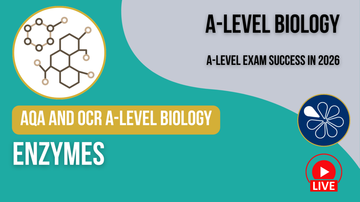 Enzymes | AQA and OCR A-Level Y1 Biology Live Stream 2026 | Livestreams ...