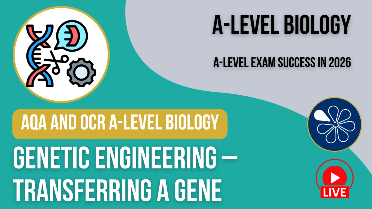 Genetic Engineering – Transferring a Gene | AQA and OCR A-Level Y2 ...