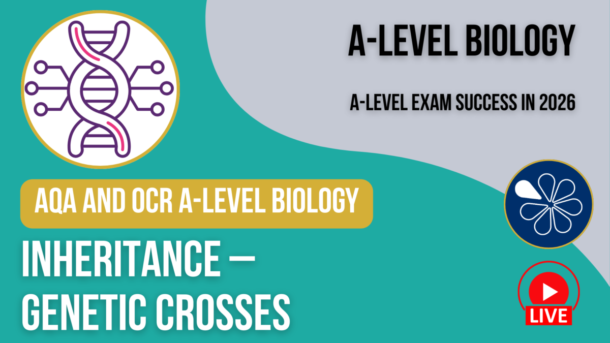 Inheritance – Genetic Crosses | AQA and OCR A-Level Y2 Biology Live ...