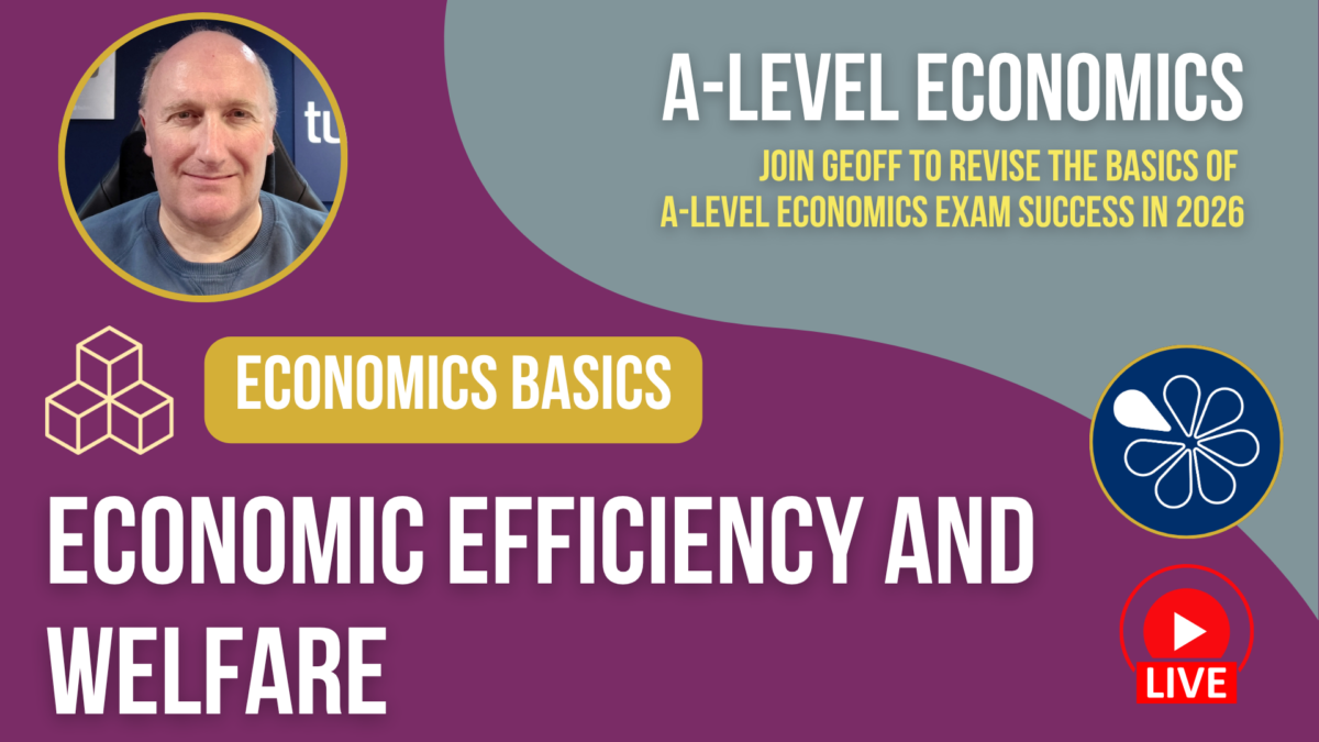 Economic Efficiency and Welfare | A-Level Economics Basics ...