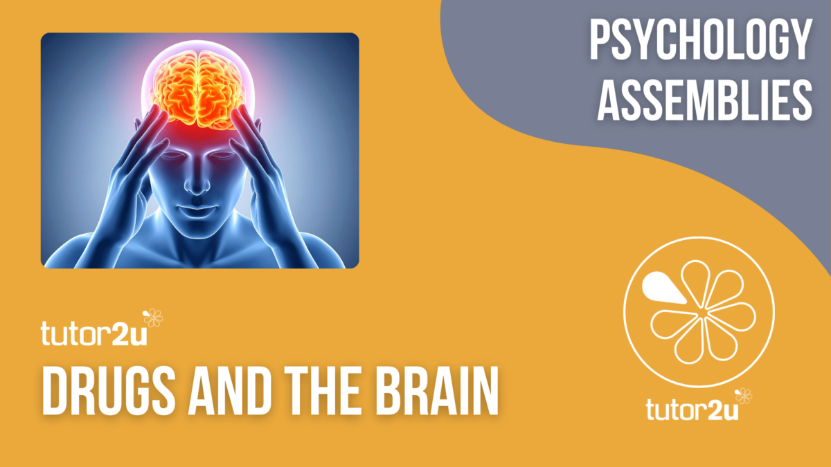 Psychology Assembly | Drugs and the Brain | Reference Library ...