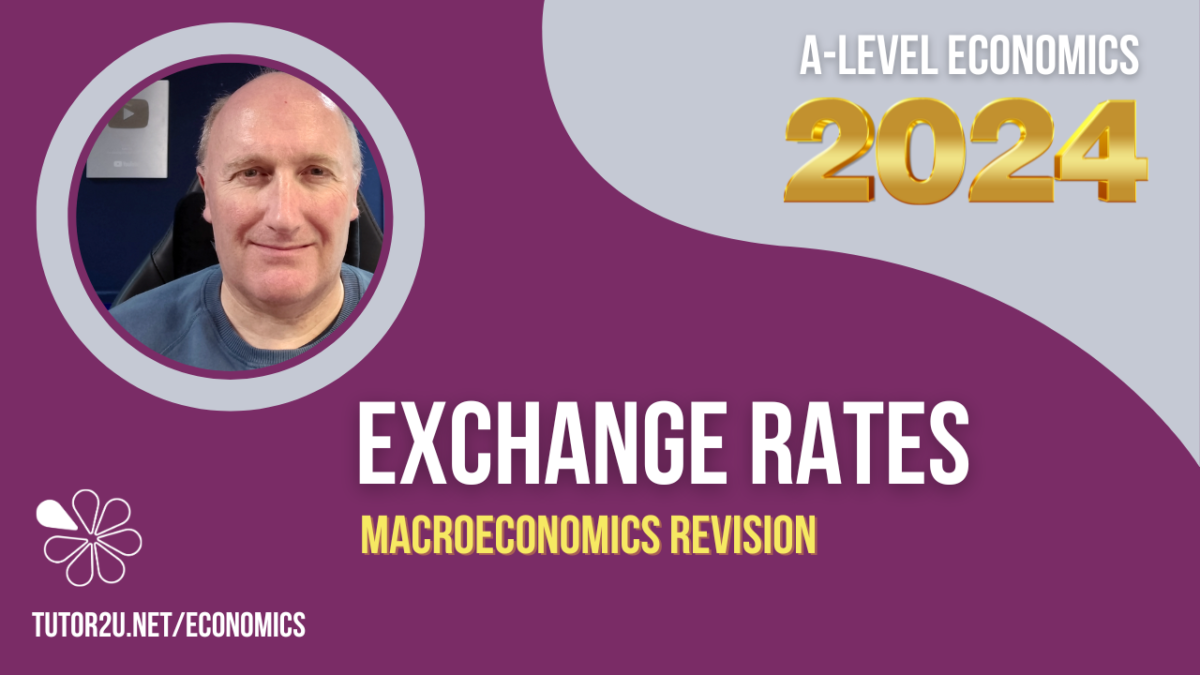 Currency Fluctuations - Causes and Effects I A Level and IB Economics ...