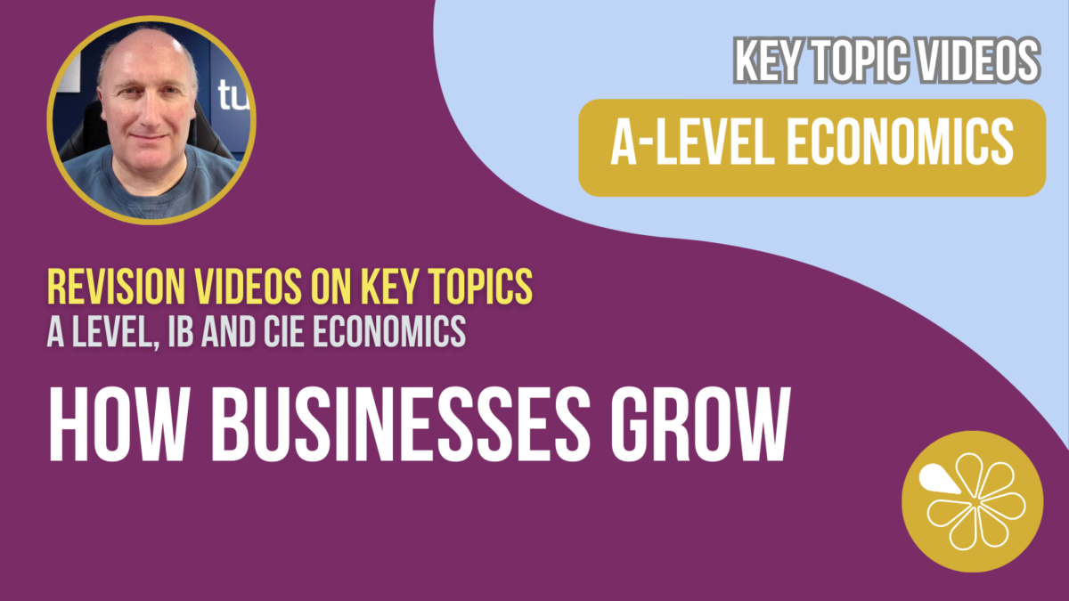 How Business Grow - Types of Integration I A Level and IB Economics ...