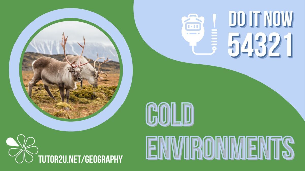 54321 'Do it now' activity for GCSE Geography: Cold Environments ...