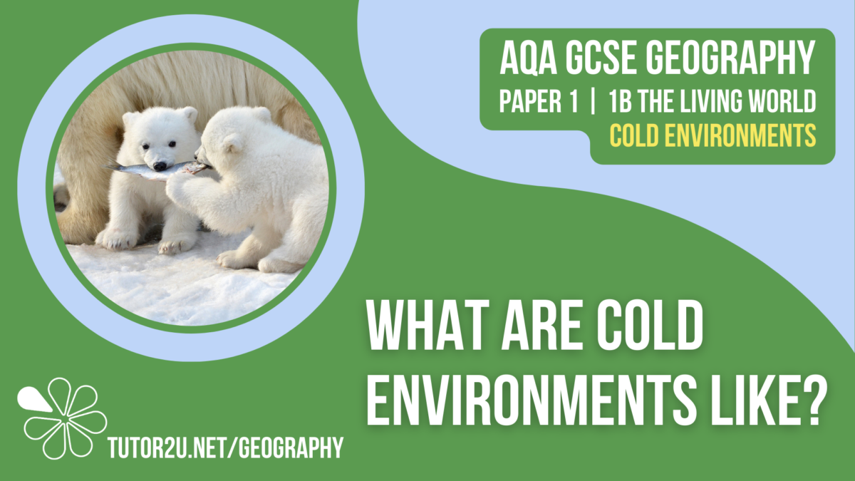 Topic Video for AQA GCSE Geography |What are cold environments like ...