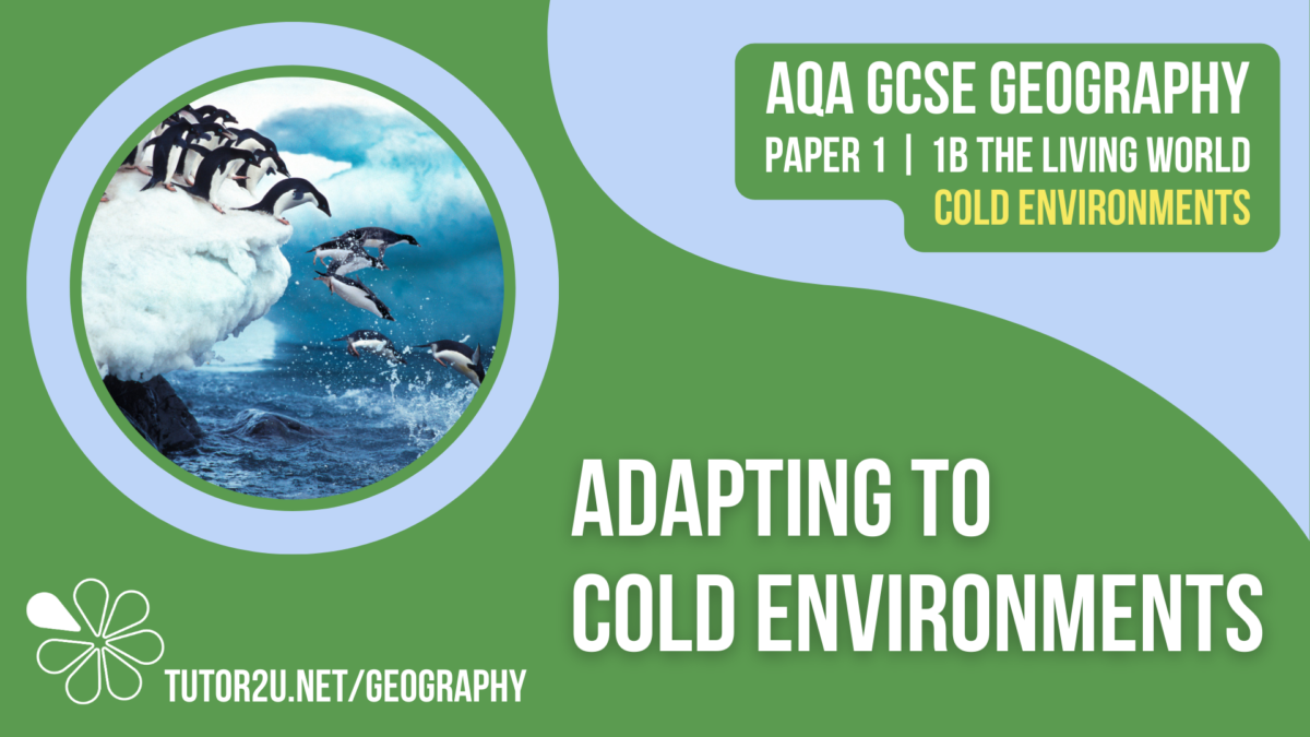 Topic Video for AQA GCSE Geography | Adapting to cold environments ...