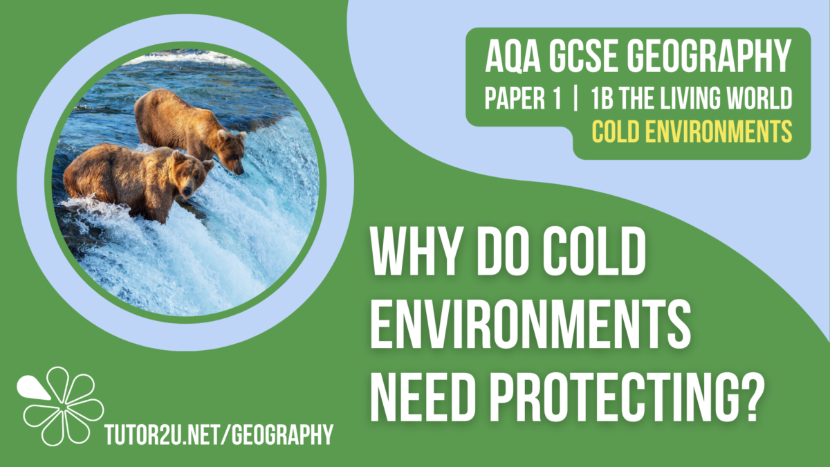 Topic Video for AQA GCSE Geography | Why do cold environments need ...