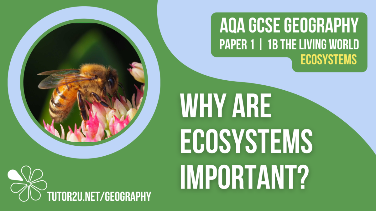 Topic Video for AQA GCSE Geography | Why are ecosystems important ...