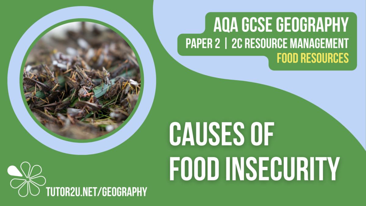 Topic Video for AQA GCSE Geography | Causes of food insecurity (Food ...