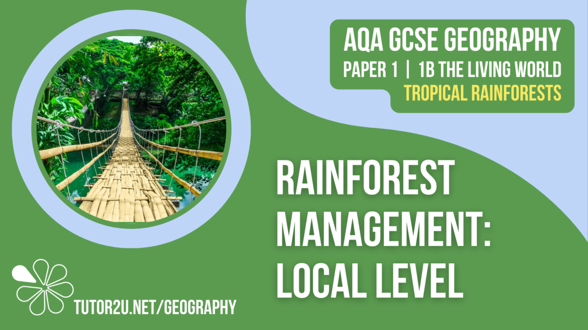 Topic Video for AQA GCSE Geography | Rainforest management - local ...