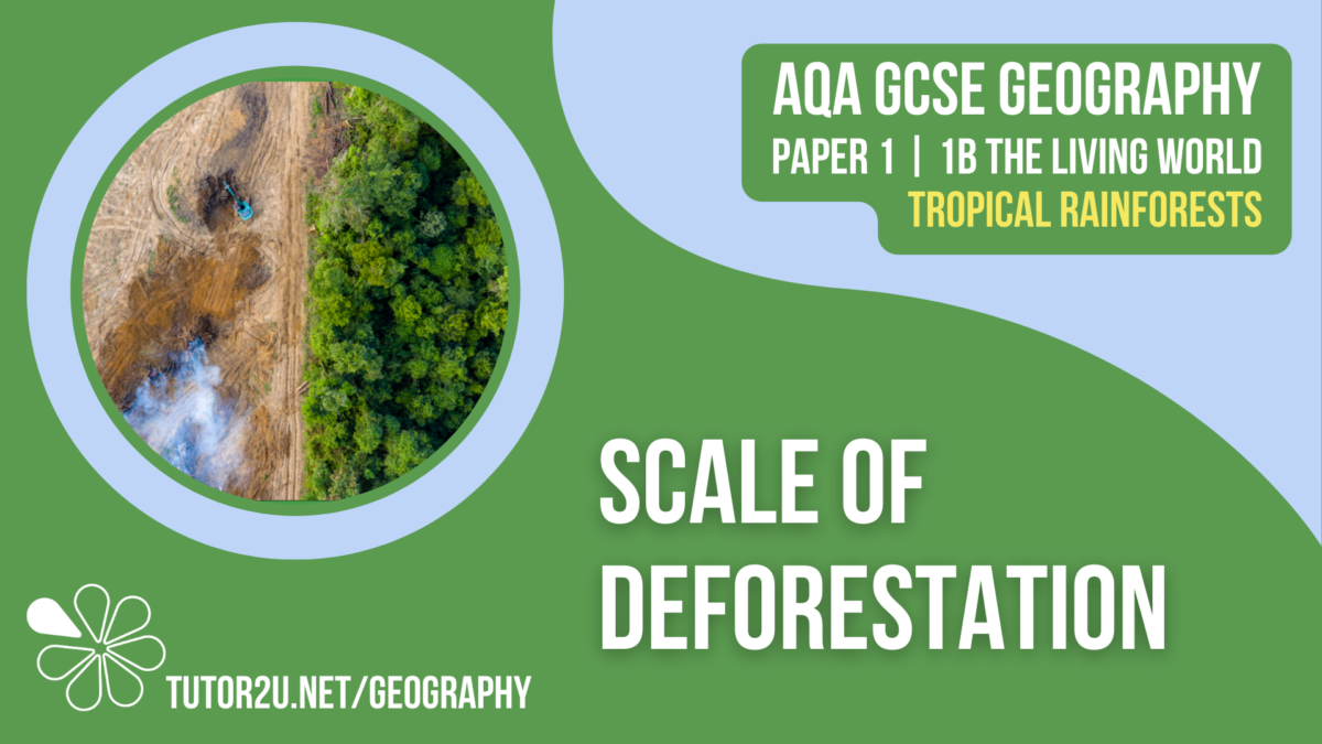 Topic Video for AQA GCSE Geography | Scale of deforestation (Tropical ...