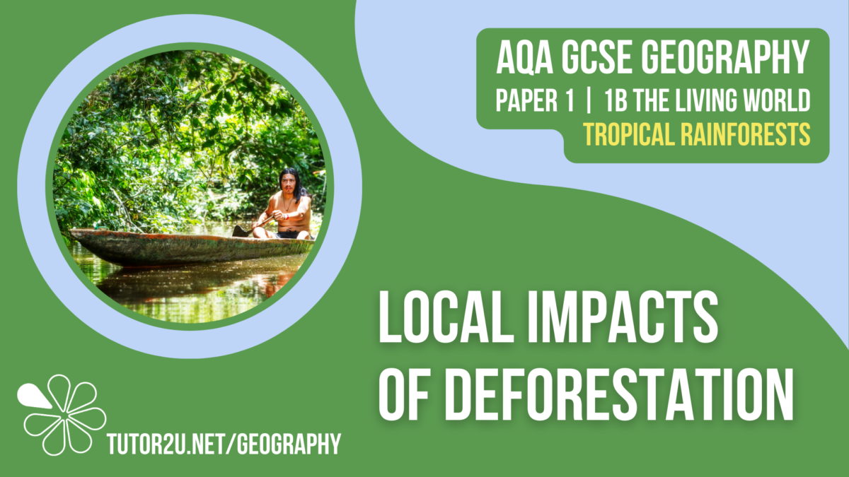 Topic Video for AQA GCSE Geography | Local impacts of deforestation ...