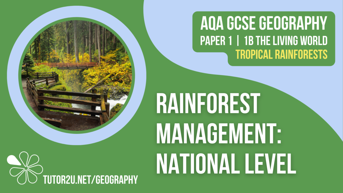Topic Video for AQA GCSE Geography | Rainforest management - national ...