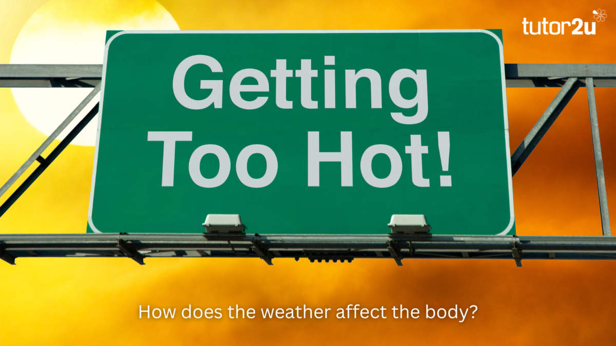 Feeling Hot, Hot, Hot! How does the weather affect the body? | Blog ...