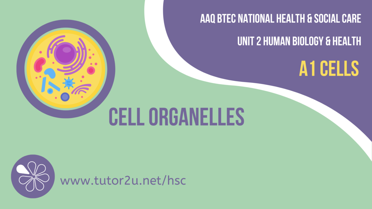 A1 Cells Topic PowerPoint and Interactive Games | Unit 2 Human Biology ...