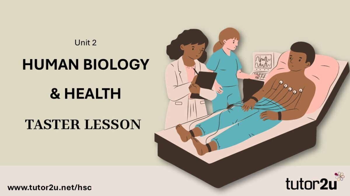 Taster Lesson for Unit 2 Human Biology & Health | AAQ BTEC National ...