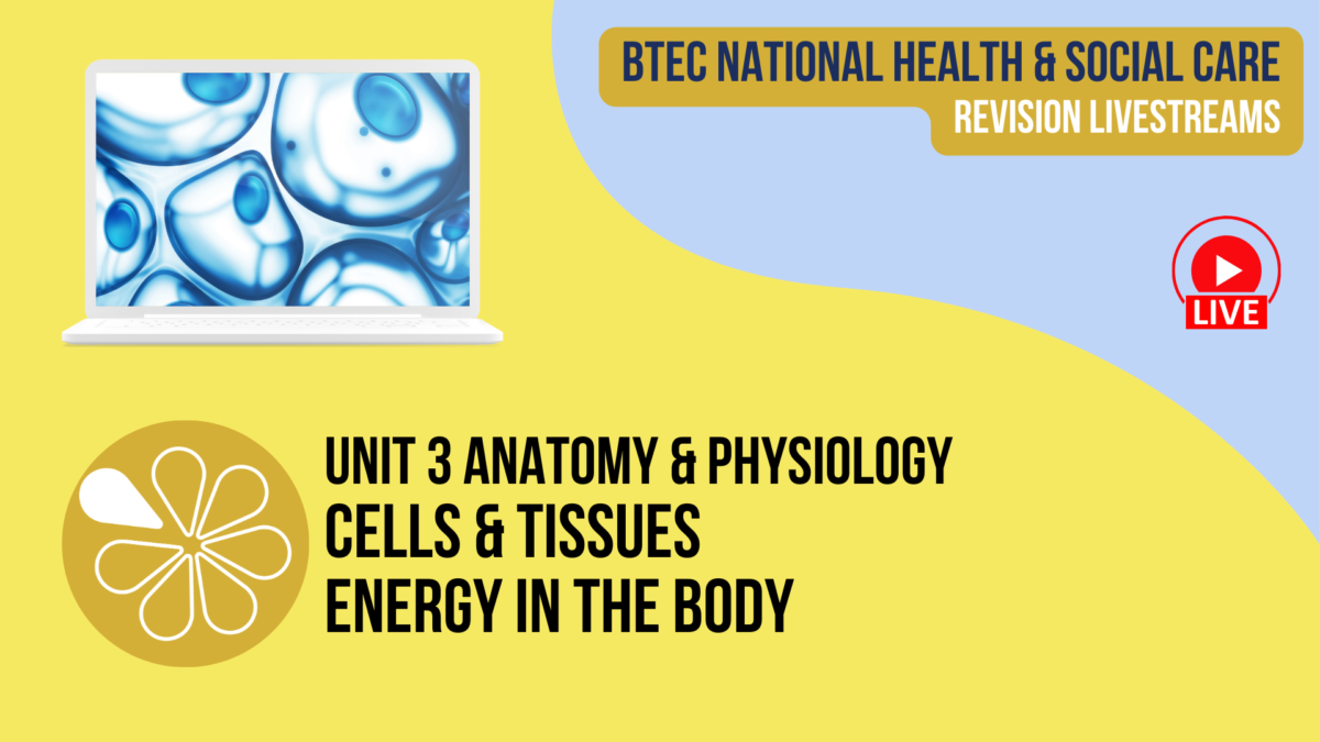 Cells, Tissues, Energy | Live Revision for HSC Unit 3 Anatomy ...