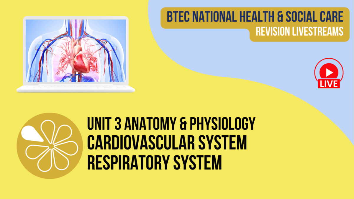 Cardiovascular & Respiratory Systems | Live Revision for HSC Unit 3 ...