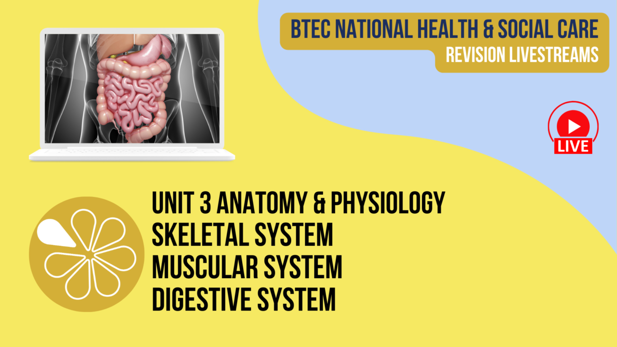 Skeletal, Muscular & Digestive Systems | Live Revision for HSC Unit 3 ...