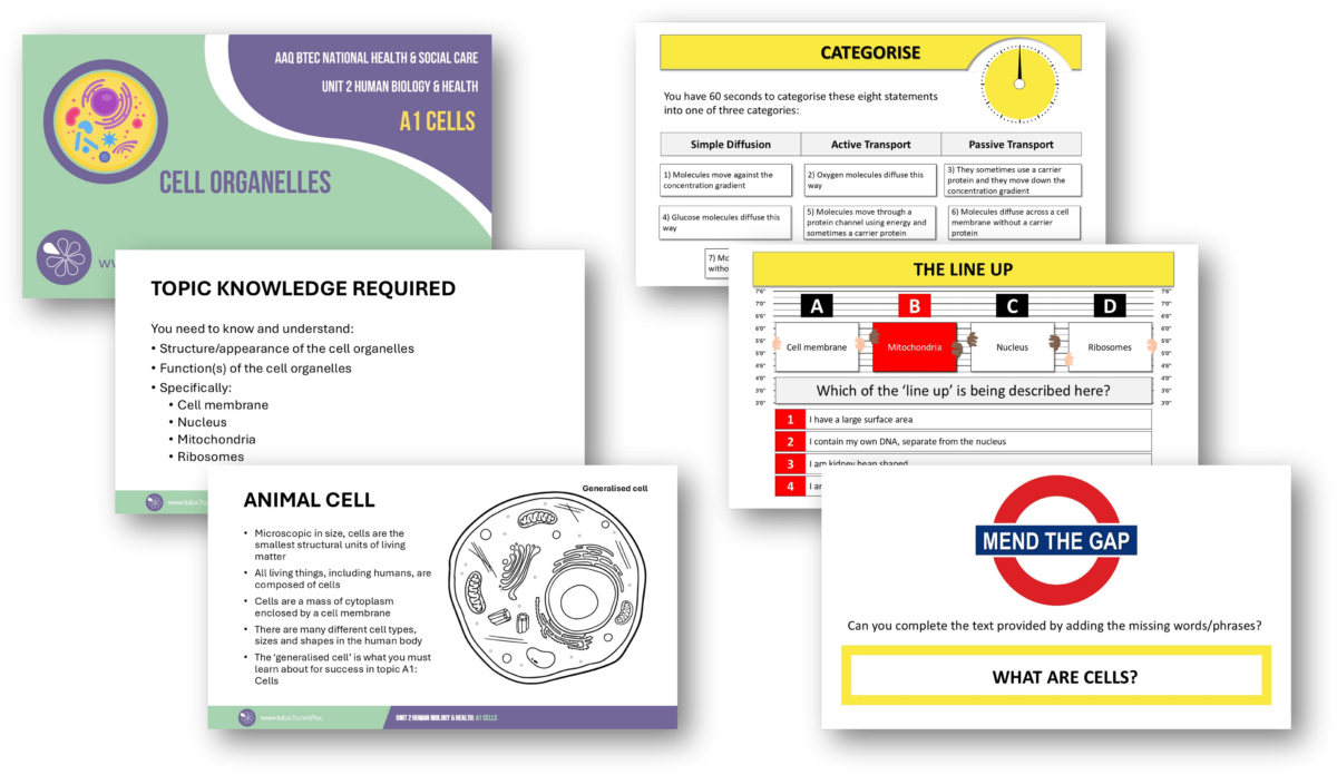 Topic PowerPoints and interactive games to support your teaching ...