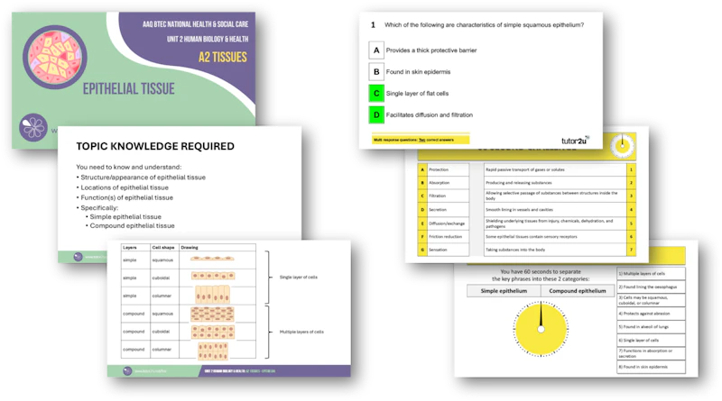 A2 Epithelial Tissue Topic PowerPoint and Interactive Games | Unit 2 ...