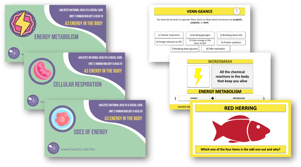 A3 Energy in the Body Topic PowerPoints and Interactive Games | Unit 2 ...