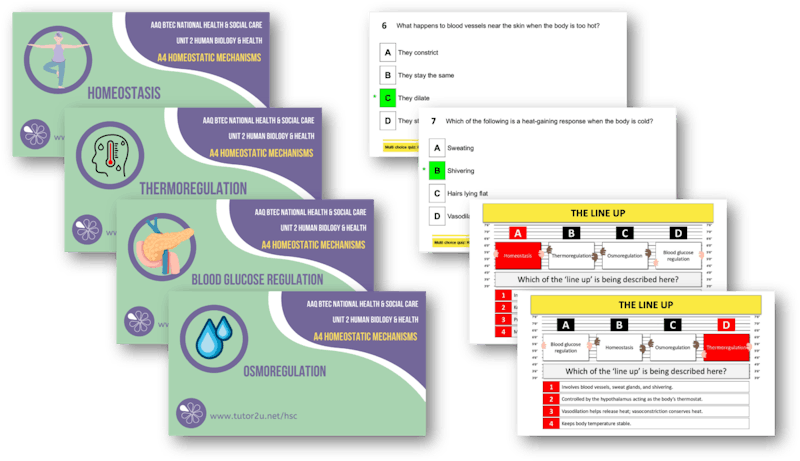 A4 Homeostatic Mechanisms Topic PowerPoints and Interactive Games ...
