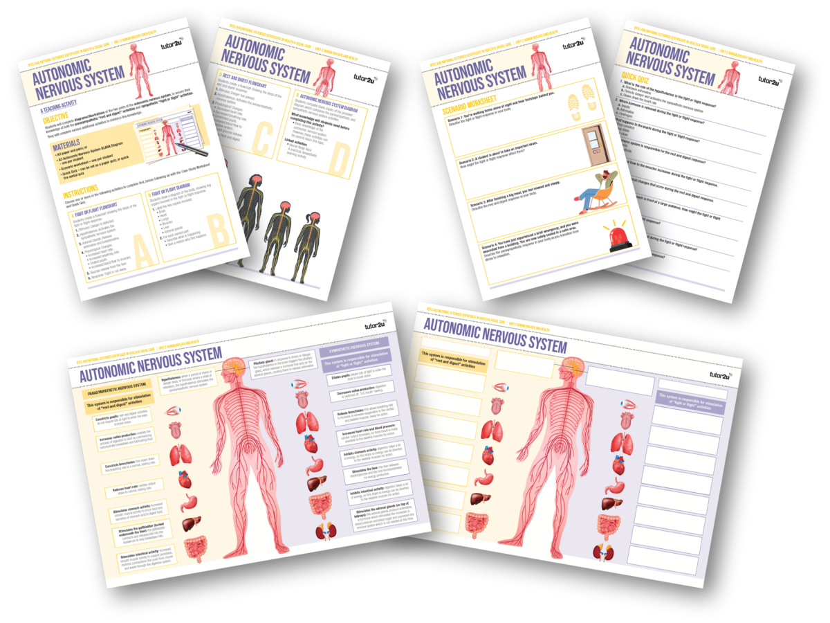 Autonomic Nervous System Teaching Activities for Unit 2 Human Biology ...