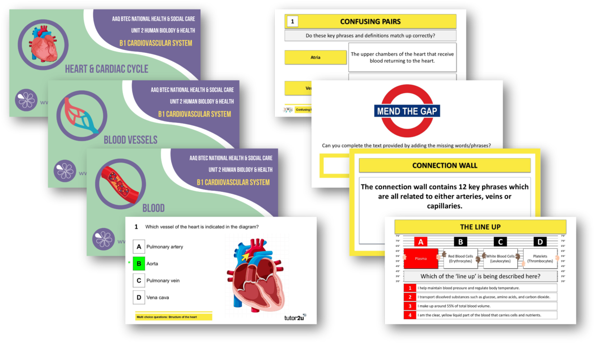 B1 The Cardiovascular System Topic PowerPoints and Interactive Games ...