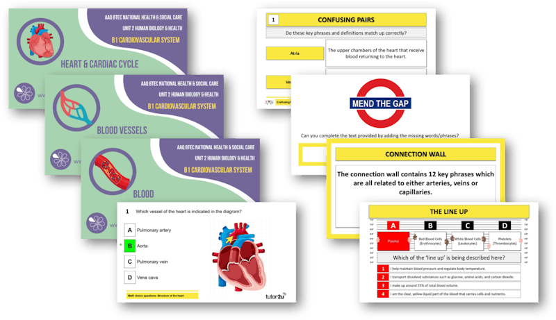 B1 The Cardiovascular System Topic PowerPoints and Interactive Games ...