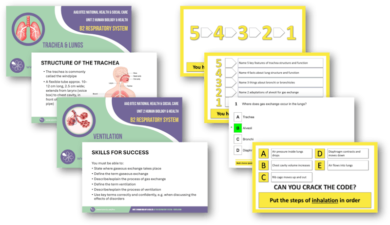 B2 The Respiratory System Topic PowerPoints and Interactive Games ...