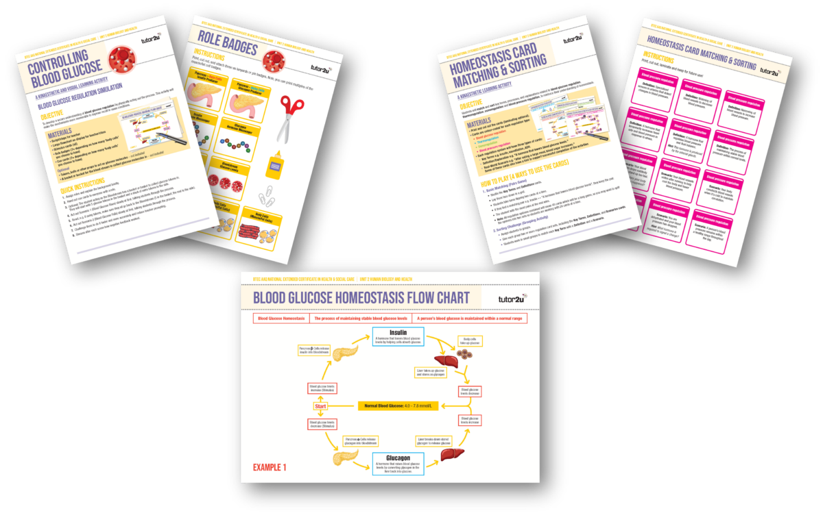 Homeostasis Teaching Activities for Unit 2 Human Biology & Health | AAQ ...